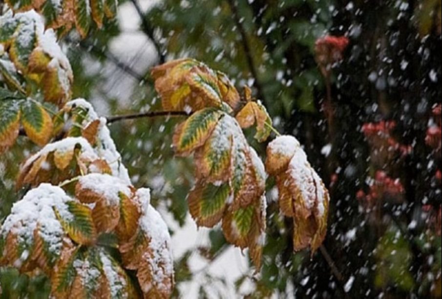Сэрэмжлүүлэг Ихэнхи нутгаар цасан шуурга шуурч эрс хүйтэрнэ